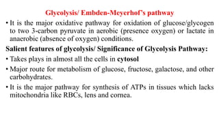 Glycolysis and Rapaport leubering cycle or BPG shunt.pdf