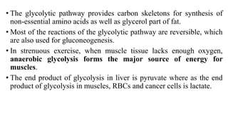 Glycolysis and Rapaport leubering cycle or BPG shunt.pdf