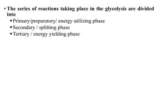Glycolysis and Rapaport leubering cycle or BPG shunt.pdf