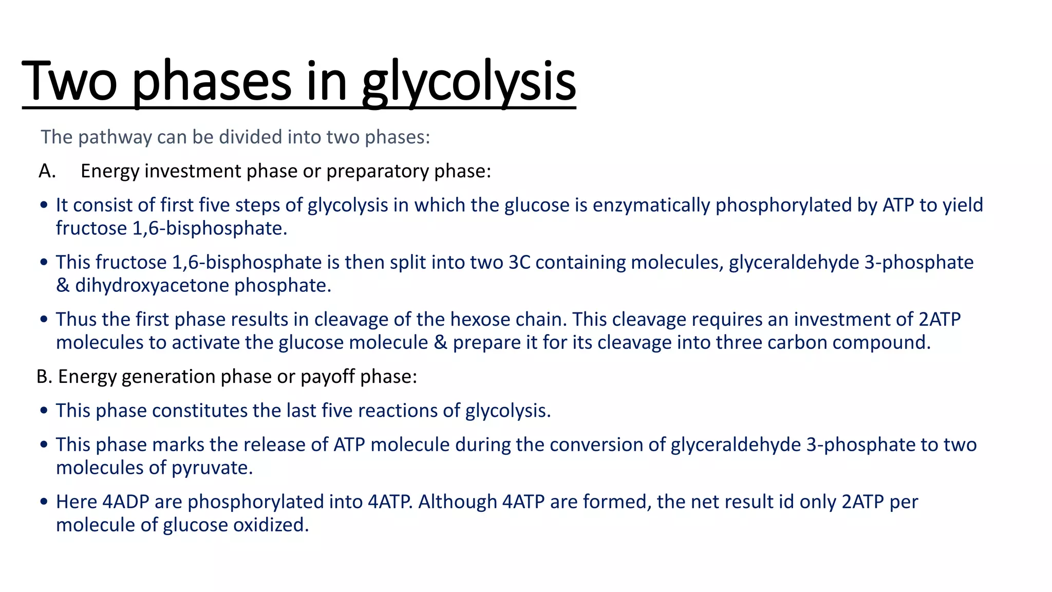 glycolysis and TCA CYCLE.pptx