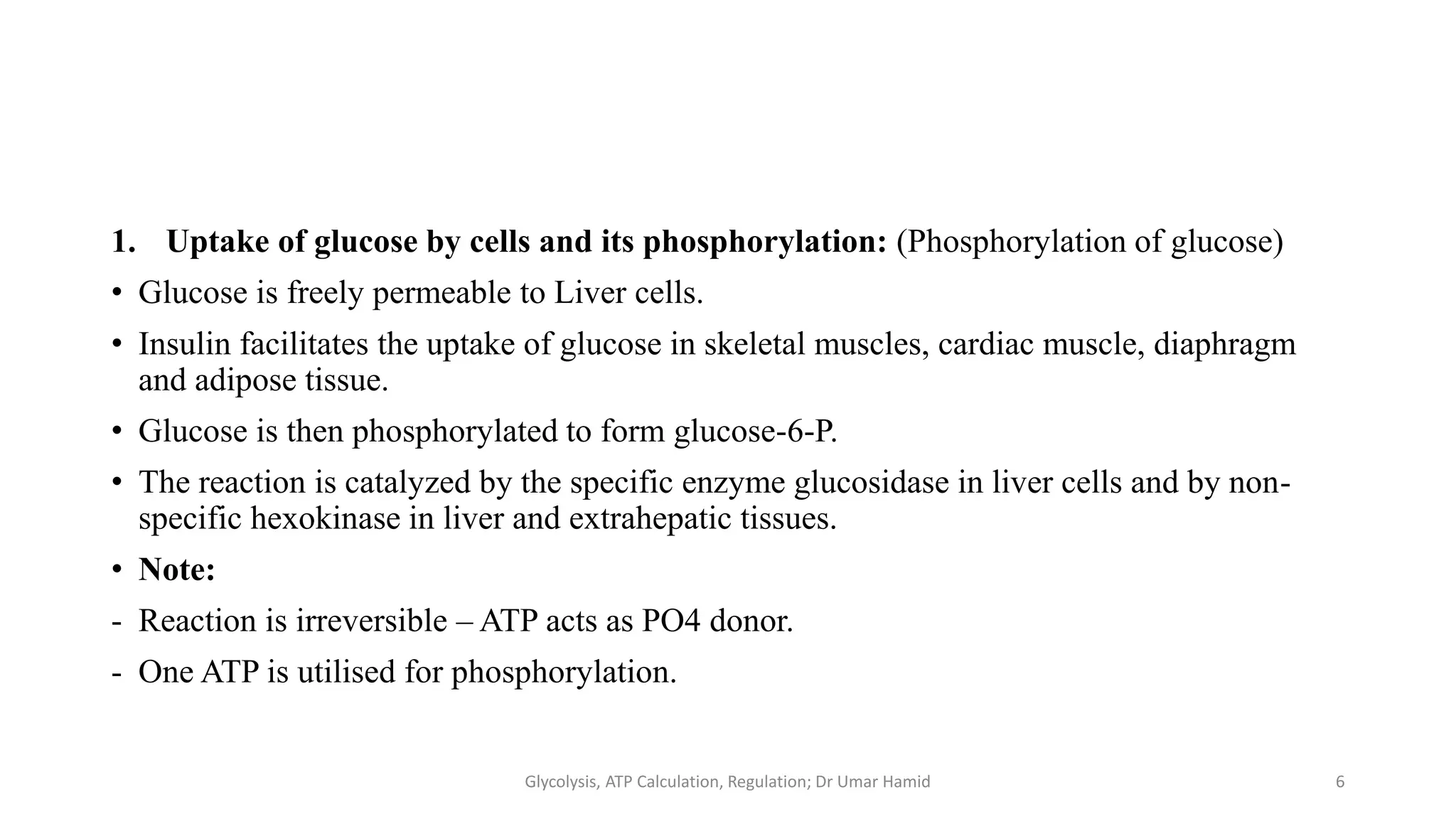 Glycolysis, ATP Calculation and Regulation.pptx
