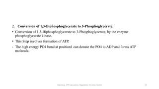 Glycolysis, ATP Calculation and Regulation.pptx