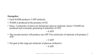 Glycolysis, ATP Calculation and Regulation.pptx