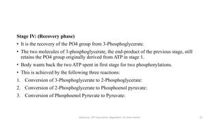 Glycolysis, ATP Calculation and Regulation.pptx