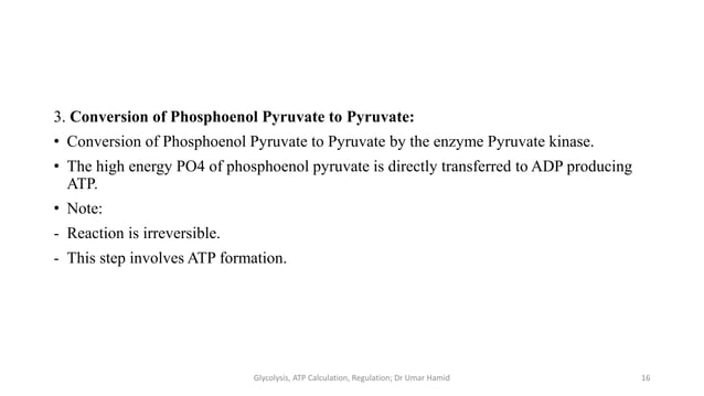 Glycolysis, ATP Calculation and Regulation.pptx | Endocrine and Metabolic Diseases | Diseases ...