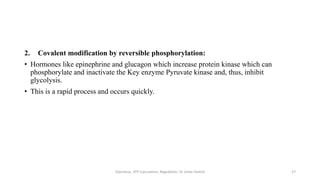 Glycolysis, ATP Calculation and Regulation.pptx