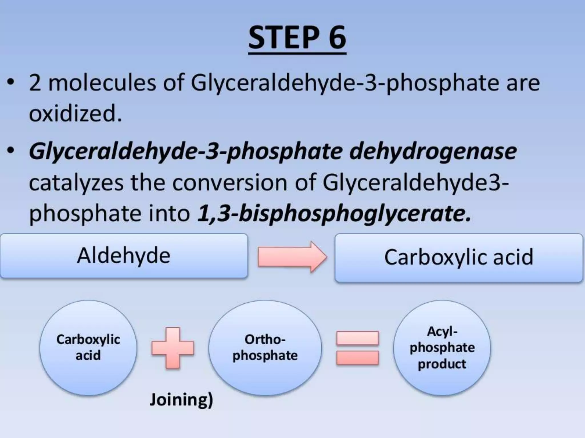 Glycolysis biochemistry | PPTX
