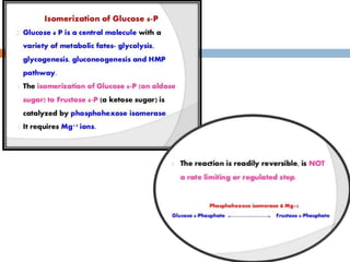 Glycolysis cycle | PPTX