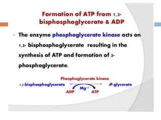Glycolysis cycle | PPTX