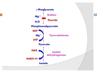 Glycolysis cycle | PPTX