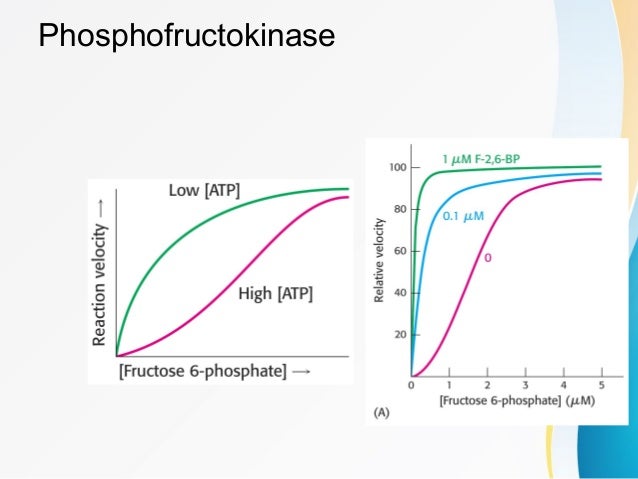 Glycolysis and its other side process