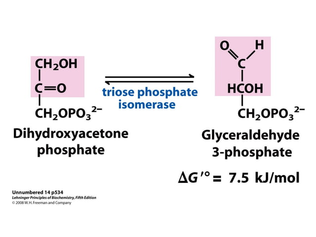 Glycolysis, gluconeogenesis, and the pentose phosphate pathway | PPT