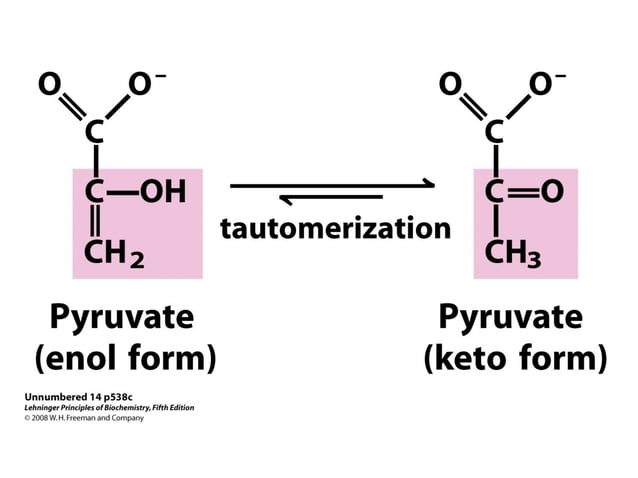 Glycolysis, gluconeogenesis, and the pentose phosphate pathway | PPT