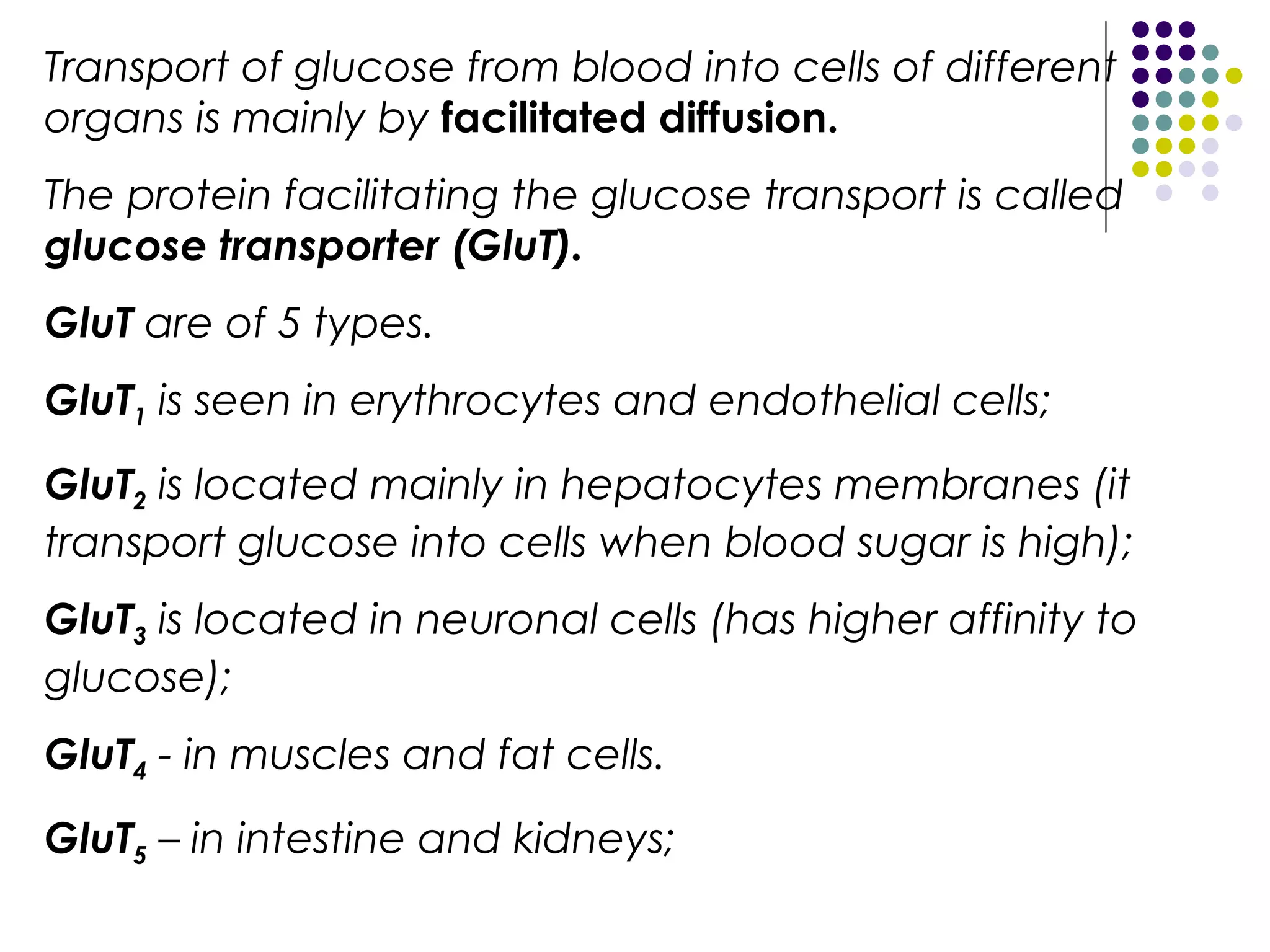 !!!Glycolysis, neoglucogenesis, the anaerobic degradation of glucose | PPT