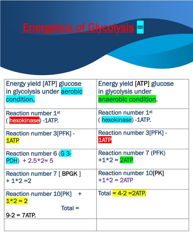 Glycolysis Pathway - Biochemistry (203T) | PDF | Chemistry | Science