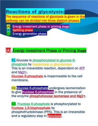 Glycolysis Cycle