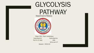 glycolysis pathway presentation in ppt form.pptx