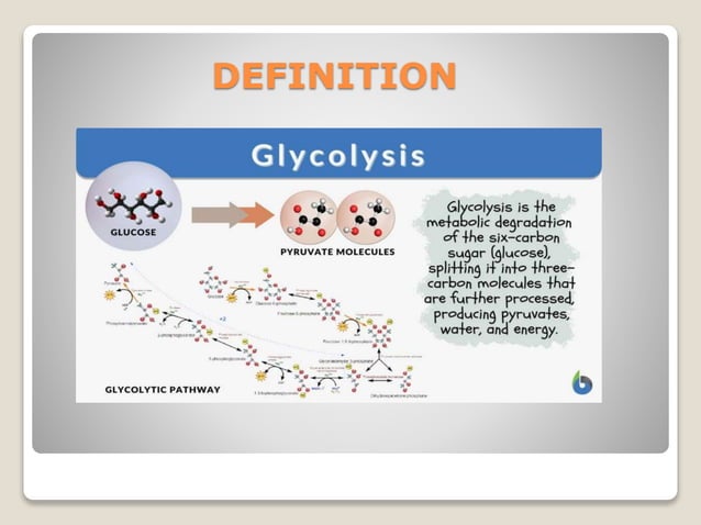 GLYCOLYSIS PPT.pptx