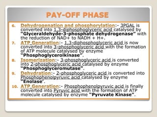 GLYCOLYSIS PPT.pptx