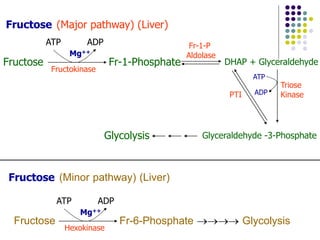 Glycolysis ppt.ppt