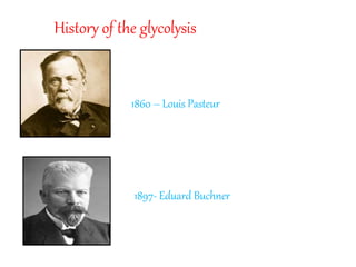 Glycolysis Pathway | PPTX