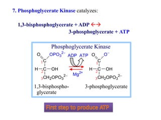 Glycolysis Pathway | PPTX