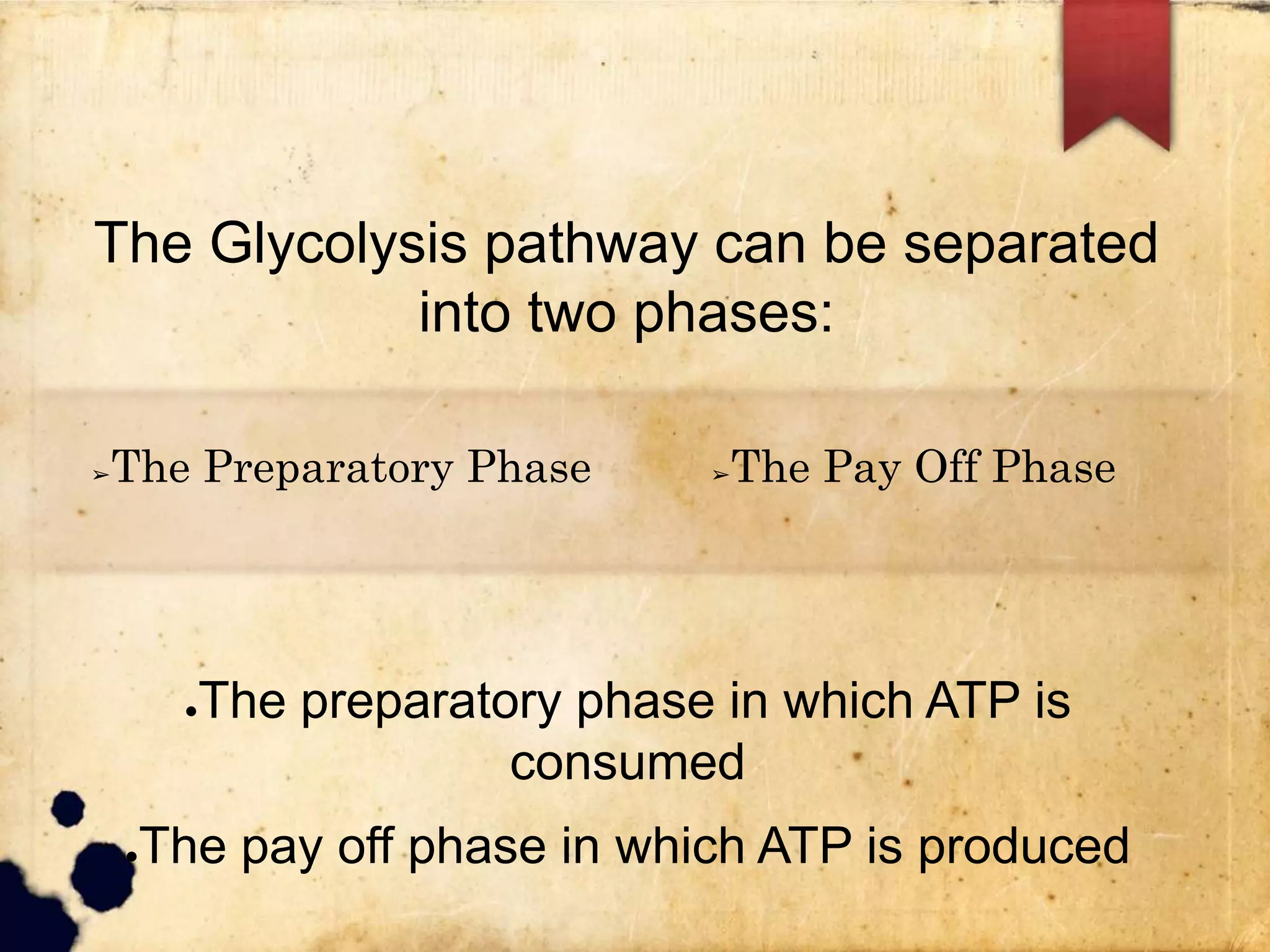 Glycolysis presentation | PPT