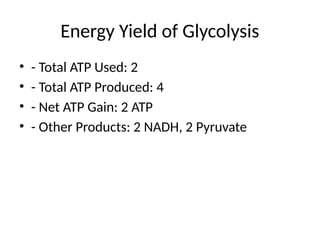 Glycolysis pathway and regulation Presentation.pptx