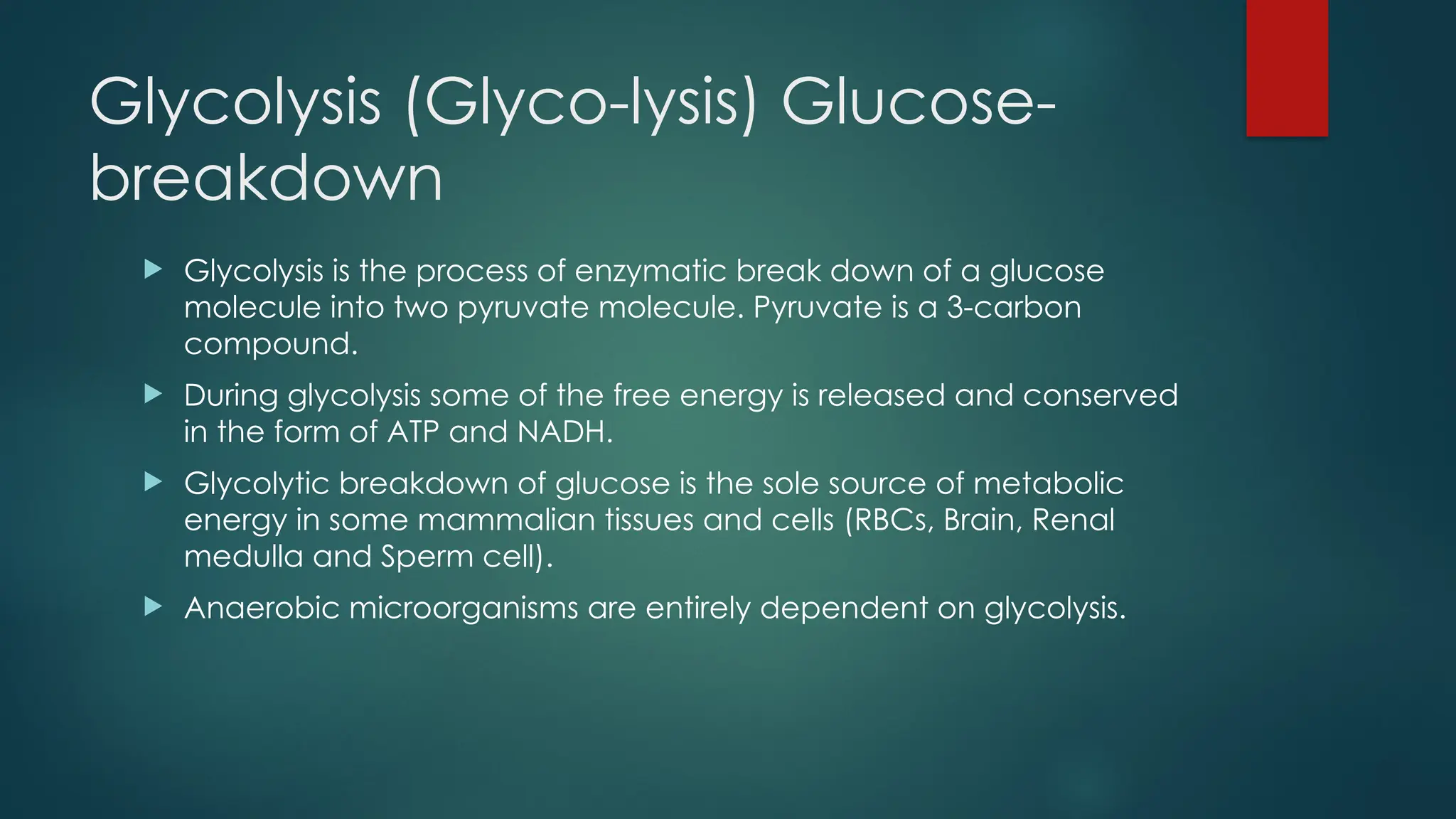 Glycolysis Presentation - CHO Metabolism | PPTX