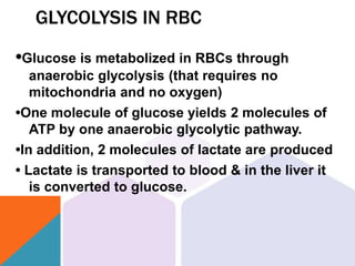 glycolysis Sim.pptx