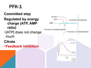 glycolysis Sim.pptx