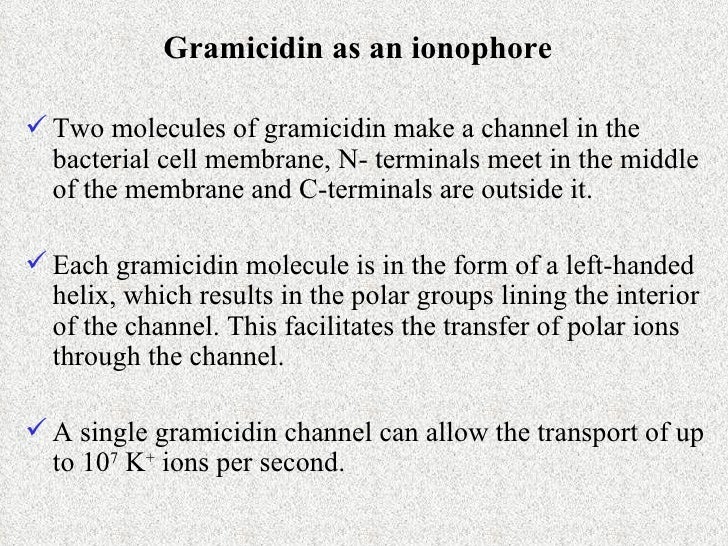 Glycopeptide And Peptide Antibiotics