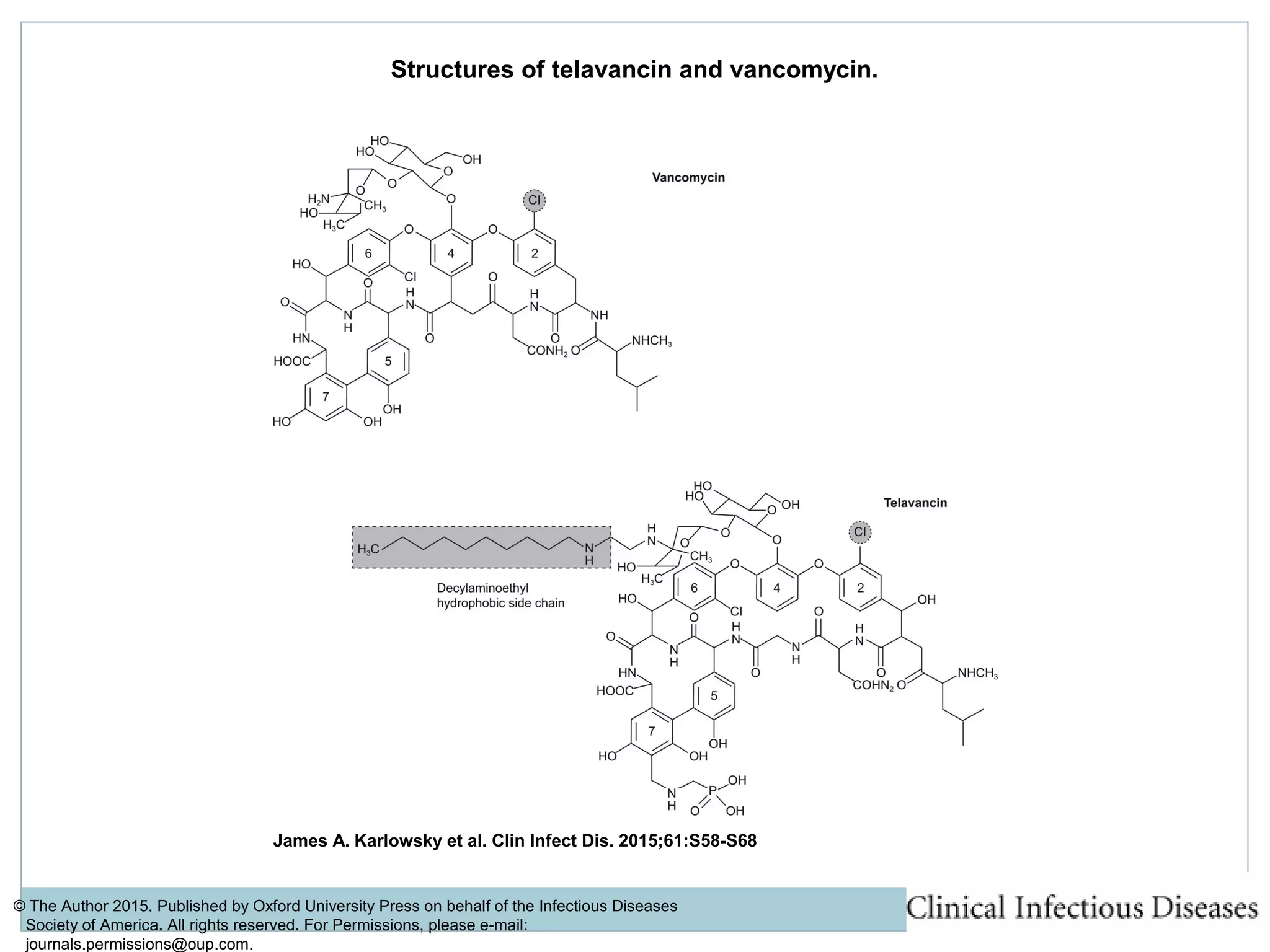 Glycopeptides, fluoroquinolones, aminoglycosides Drugs | PPT