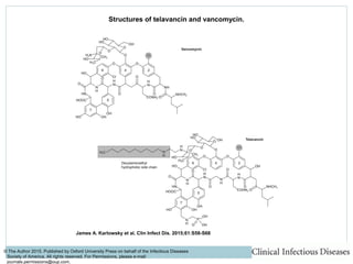Glycopeptides, fluoroquinolones, aminoglycosides Drugs | PPT