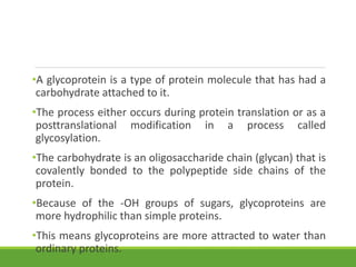 Glycoprotein | PPTX