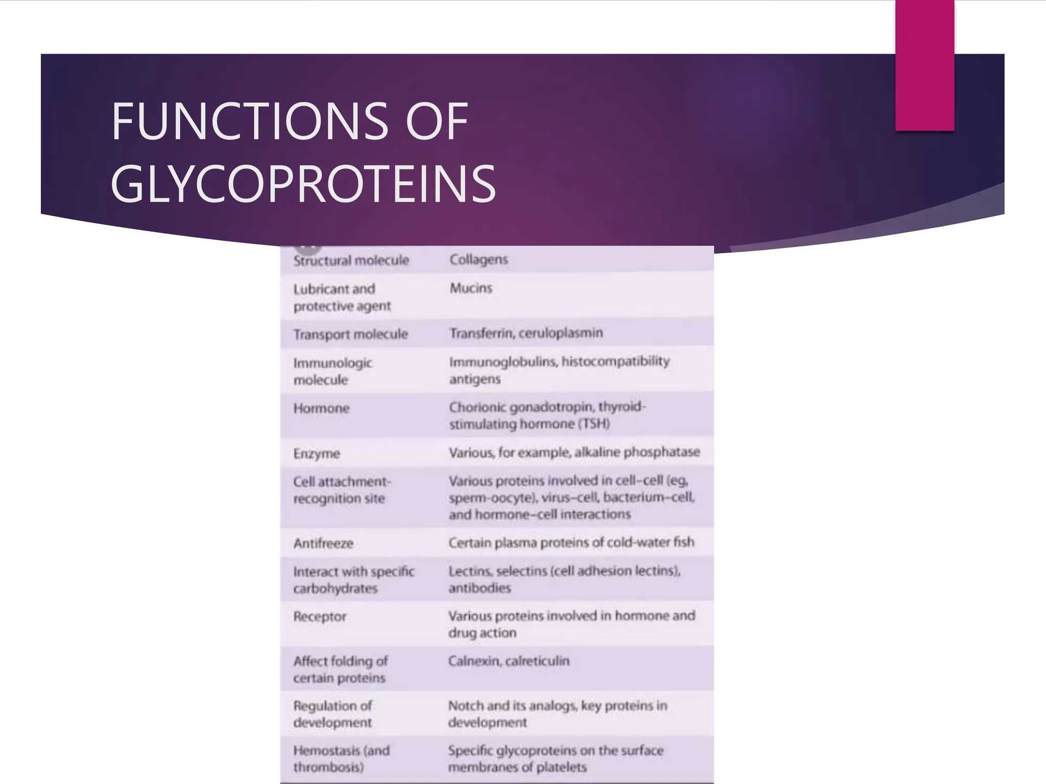 glycoprotein.pptx