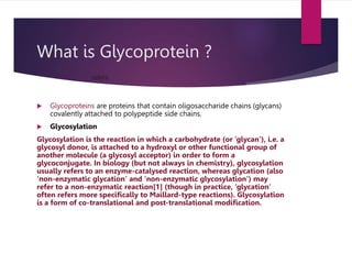 glycoprotein.pptx