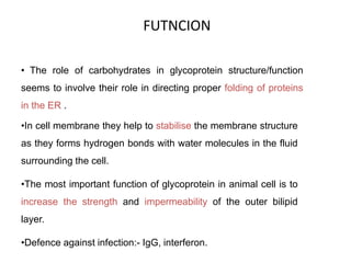 Glycoprotein, lipoprotein, structure and function | PPT