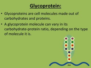 Glycoprotein by kk sahu sir | PPT