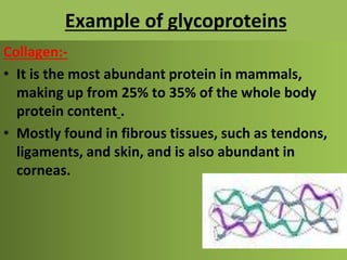 Glycoprotein by kk sahu sir | PPT