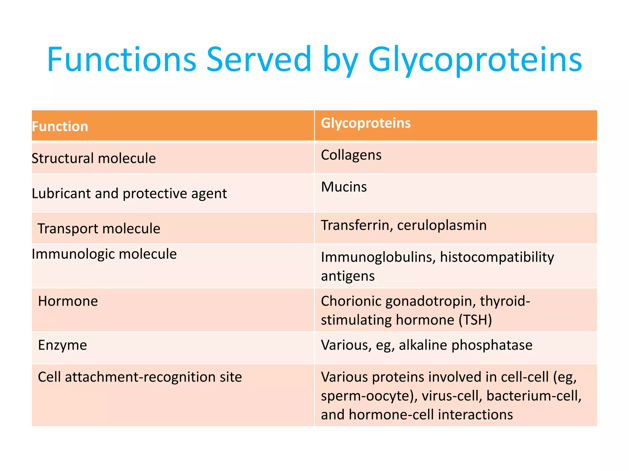 Glycoprotein | PPTX