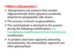 Glycoprotein | PPTX