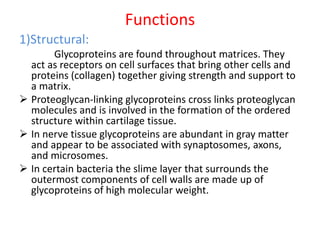 Glycoprotein Molecule