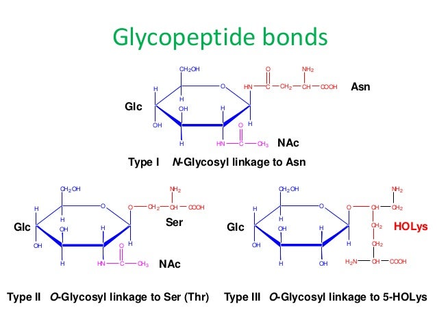 Glycoprotein