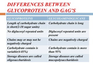 Proteoglycan Vs Glycoprotein