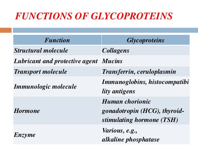Glycoproteins