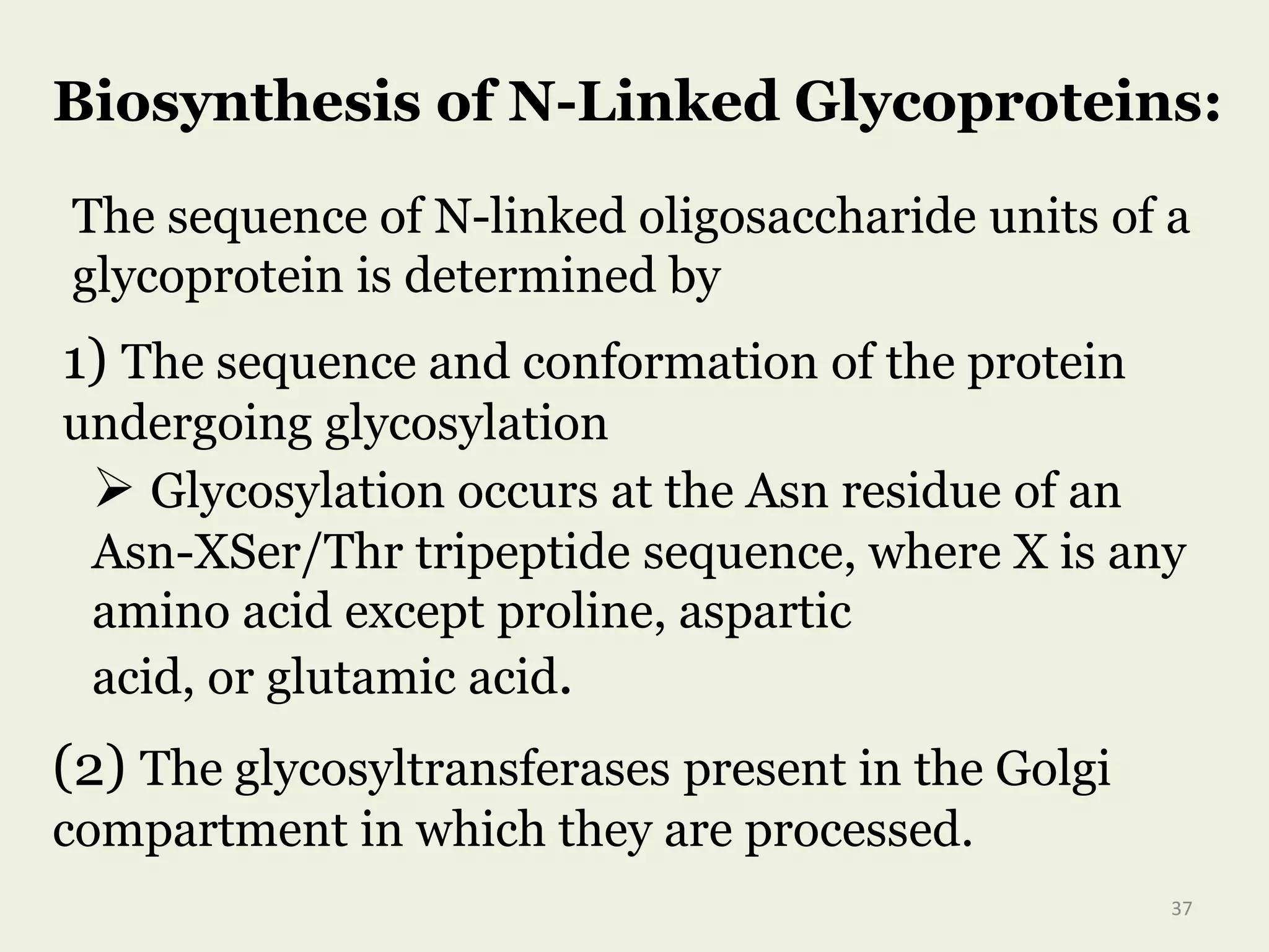 Glycoproteins | PPTX