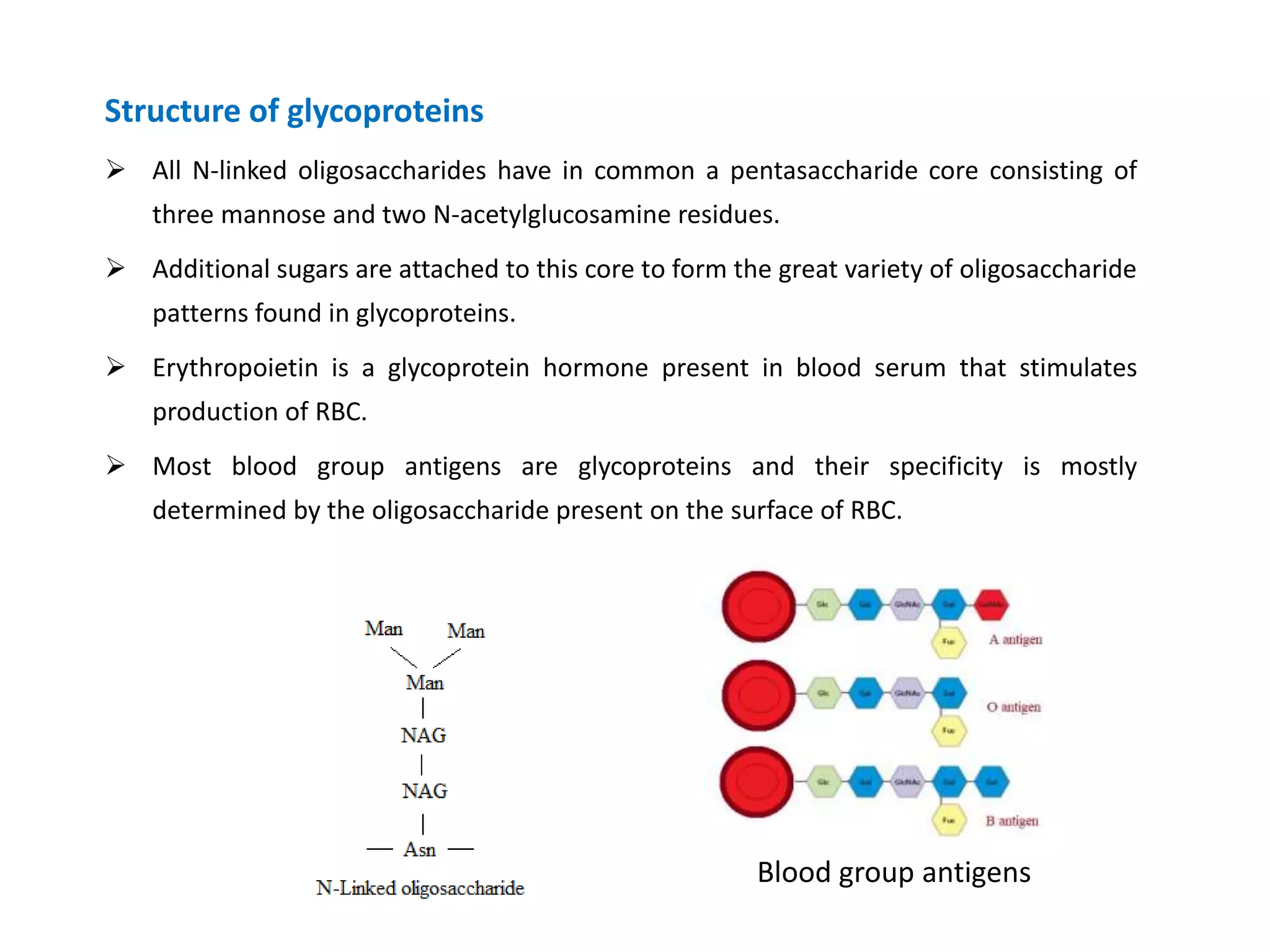 Glycoproteins.ppt