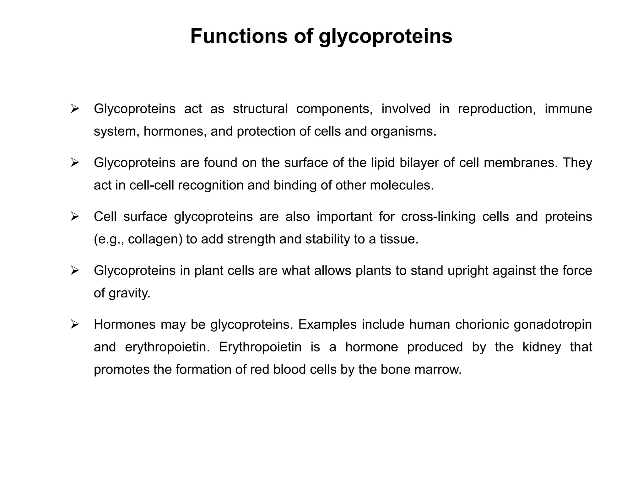 Glycoproteins.ppt
