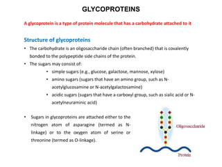 Glycoproteins.ppt